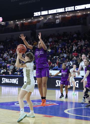 Photos: Pittsfield High girls basketball at the MIAA D-III State ...