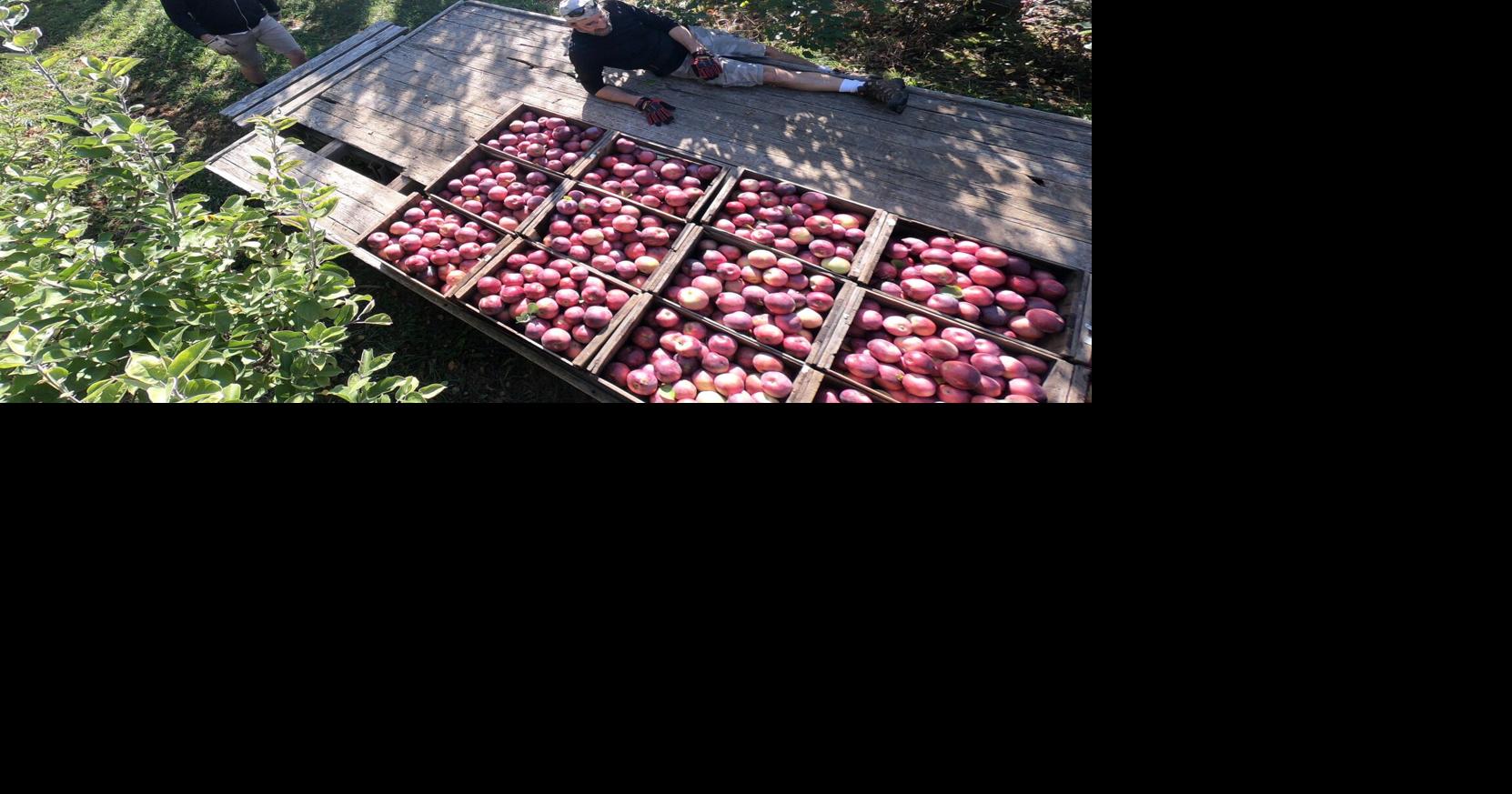 Photojournalist Ben Garver looks back on 2020: Despite the despair ...