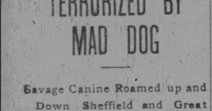 An outbreak of rabies in 1906 led to a 'mad dog' panic that swept the ...