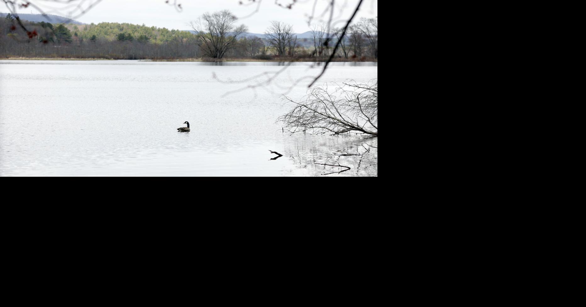 GE has filed a scientific report on the PCB landfill proposed in Lee ...