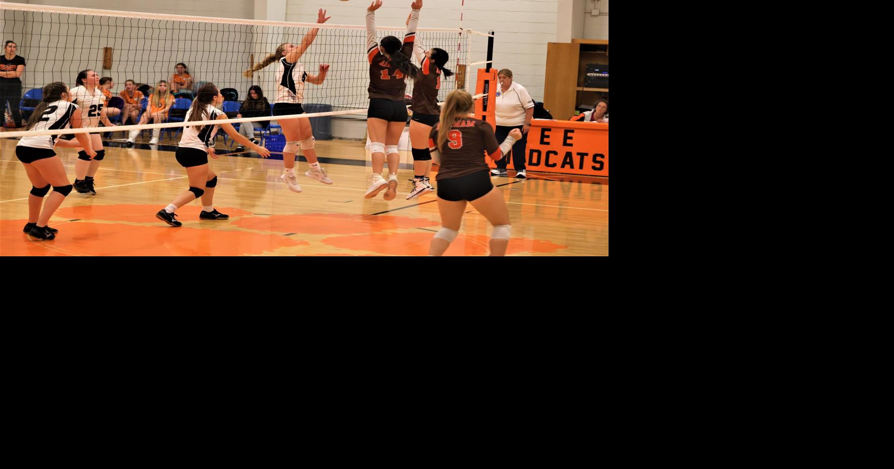 Weekend Roundup: Lee volleyball tops Lenox; Brody Calvert approaches a ...