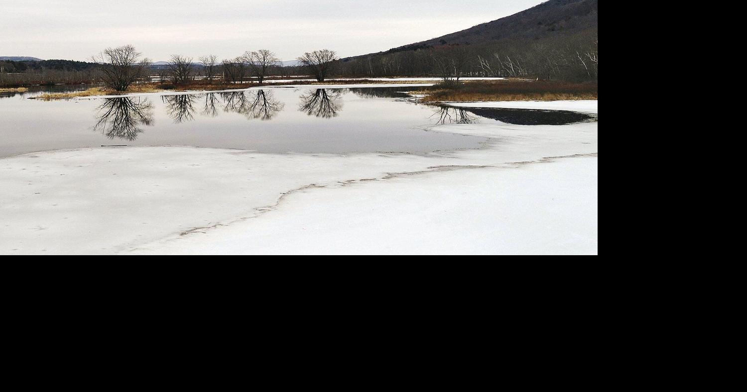 PCB dump in the Berkshires? It's on the table, activist reveals ...