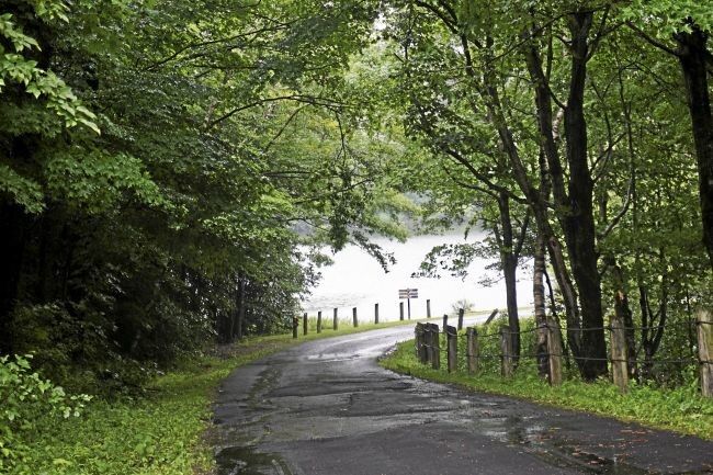 Access road to Pittsfield State Forest campground at Berry Pond to ...