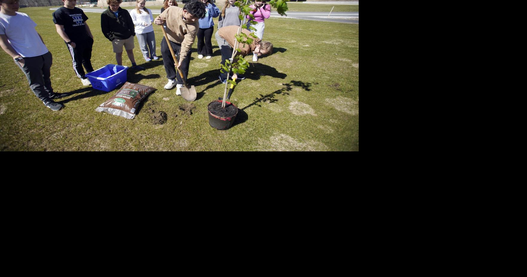 PHOTOS: Tree planting at Wahconah Regional High School | Multimedia ...
