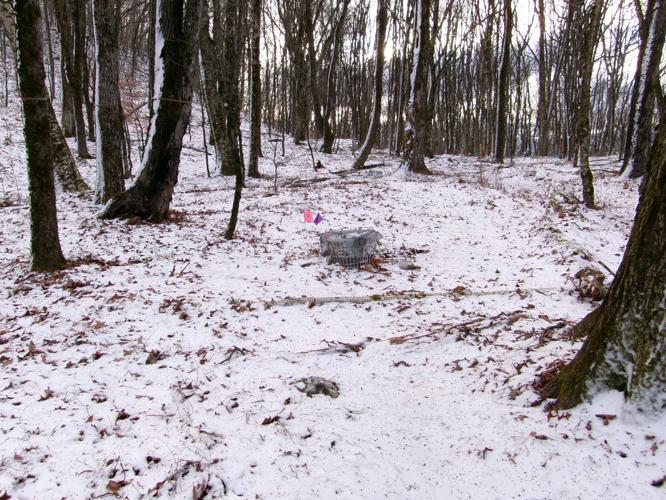 Lauren R. Stevens: Shepherds Well Trail a short-and-sweet hike for the ...