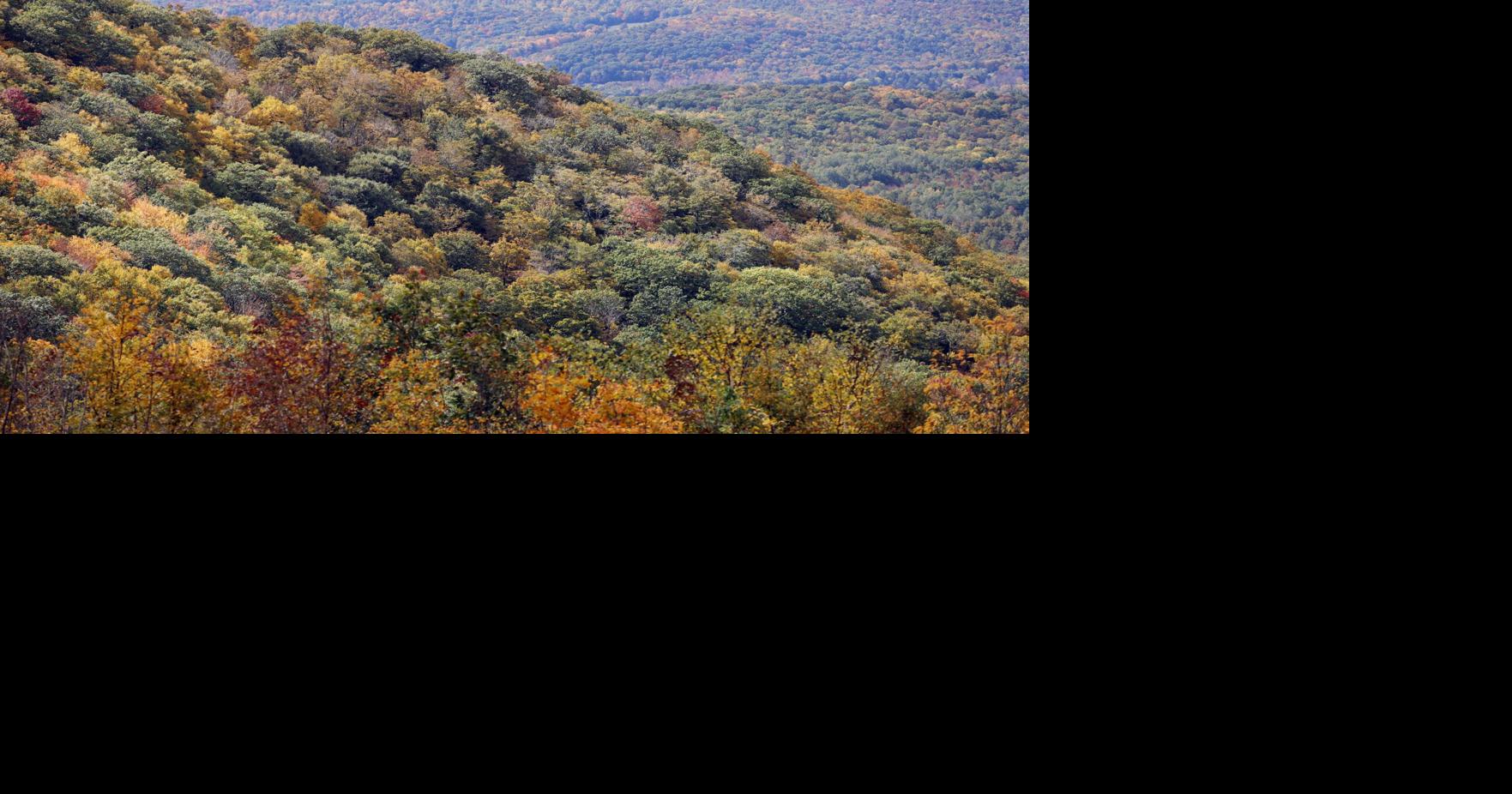 Time to plan that fall drive. It's peak foliage season in the ...