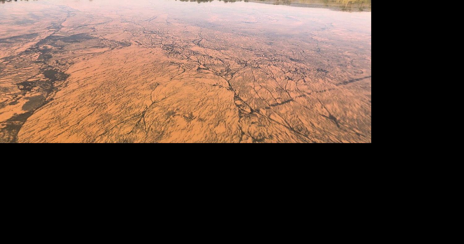 Stockbridge Bowl algae bloom ugly but not toxic | Archives ...