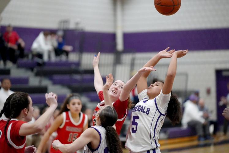 Photos: Pittsfield Girls Basketball vs Pope Francis | Multimedia ...