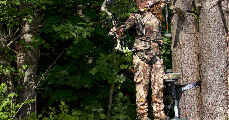 Person bow hunting from tree stand | | berkshireeagle.com