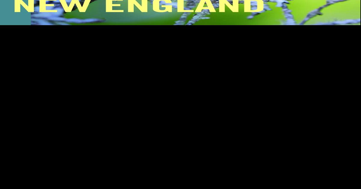 Sheffield author's 'Birds of New England' is a guide for beginners and ...