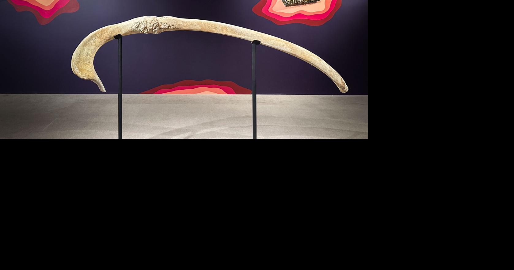Shinnecock artist Courtney M. Leonard explores a connection made with a ...