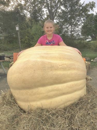 How do you grow an 800-pound squash? 'Keep it watered' | Archives ...