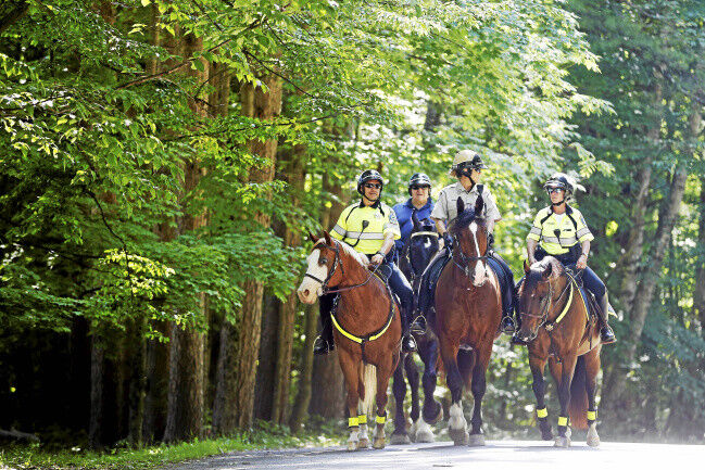 Mounted force: Horse patrols at work in October Mountain, Pittsfield ...