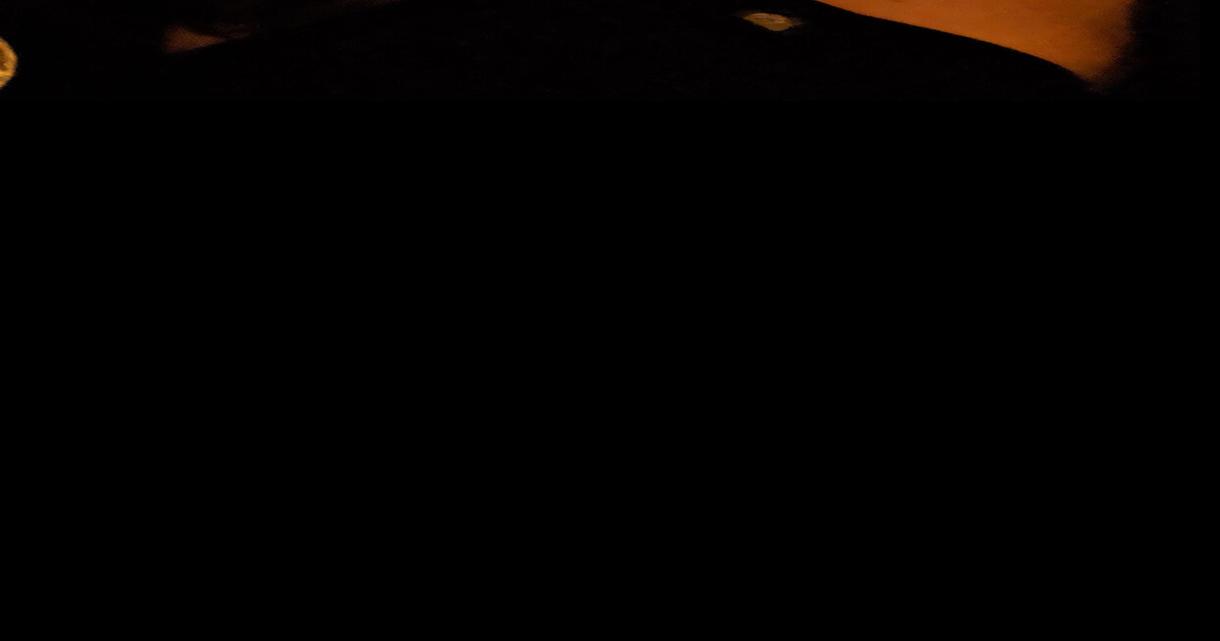 Barrington Stage Company appoints Meredith Lynsey Schade as managing ...