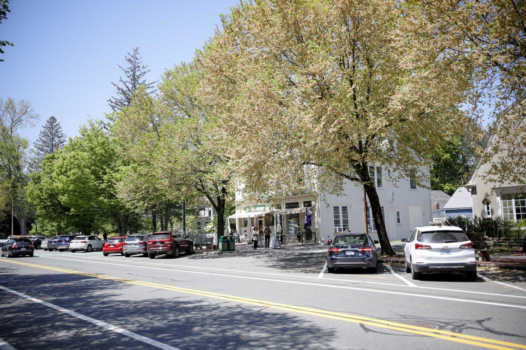 Stockbridge housing plan proposes building five new affordable houses ...