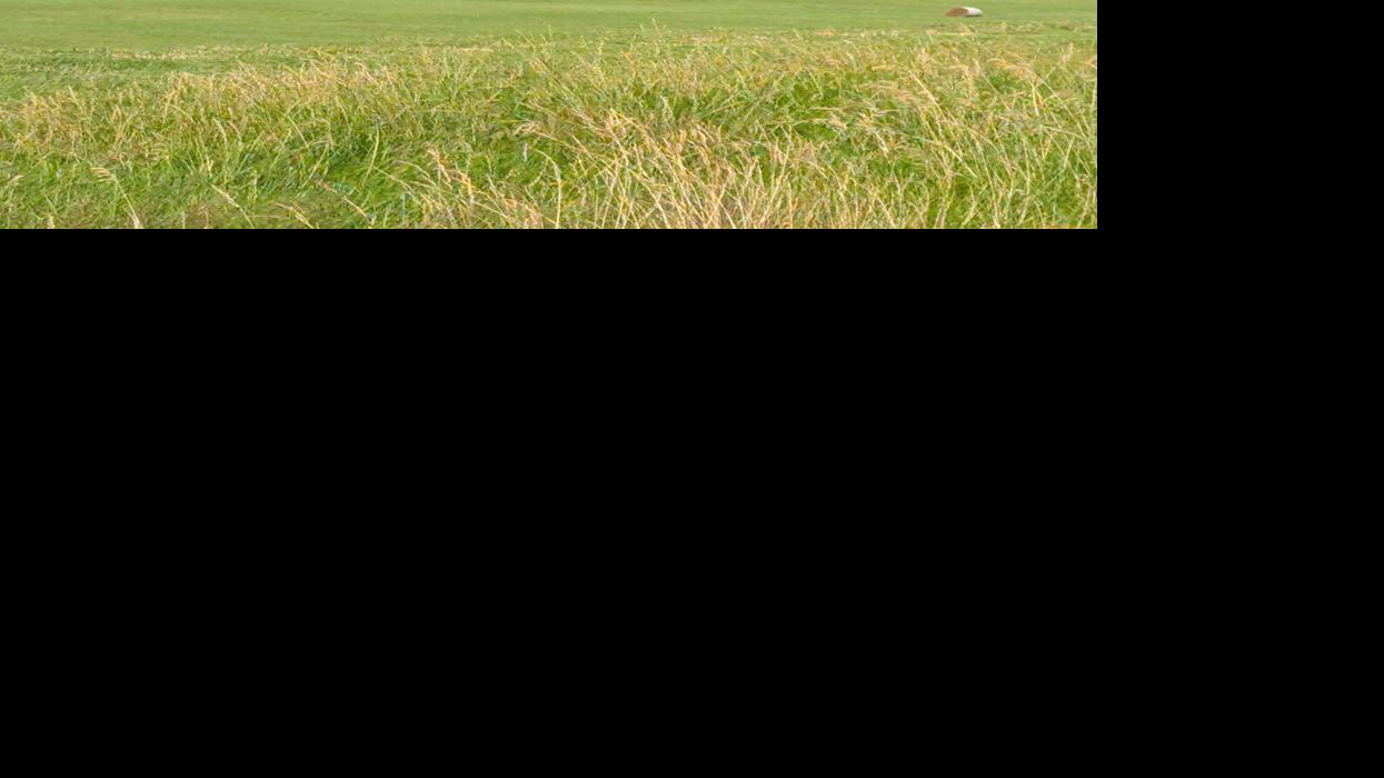 Sports | berkshireeagle.com