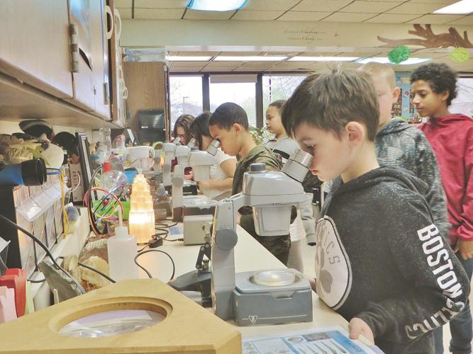 Classroom of the Week | Science program comes alive at Morningside ...