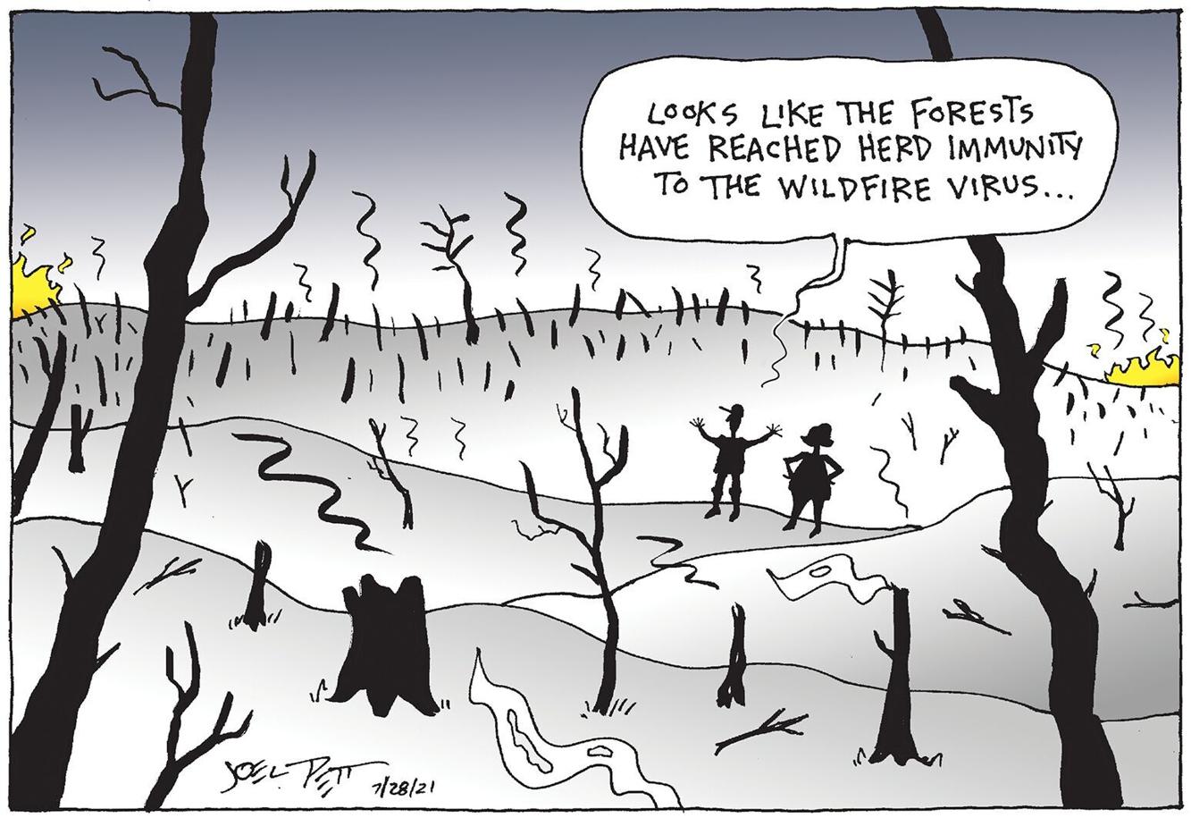 Cartoon: Forest fires | Cartoons | berkshireeagle.com