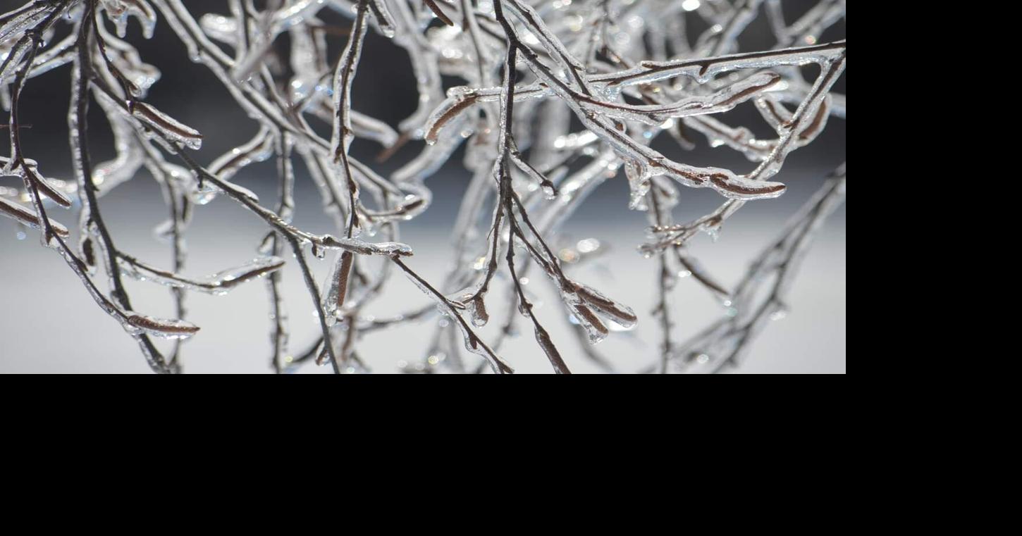 Your photos: Ice coats the Berkshires | Multimedia | berkshireeagle.com