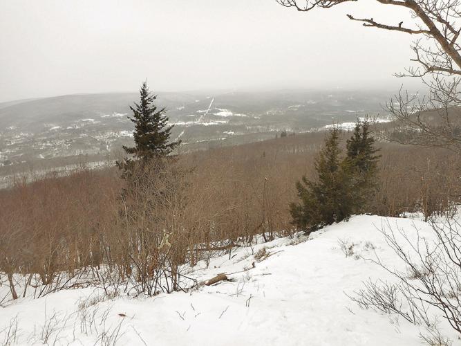 Lauren R. Stevens | Hikes and Walks: An icy hike through the Hoosac ...