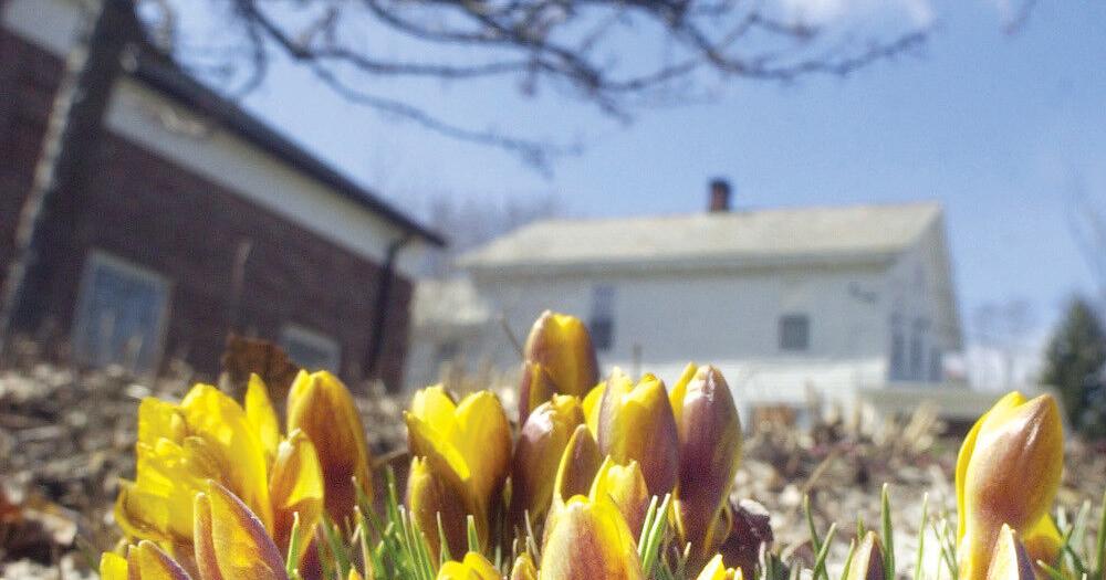 Kate Abbott: May Day returns with signs of warmth | Arts and Culture ...