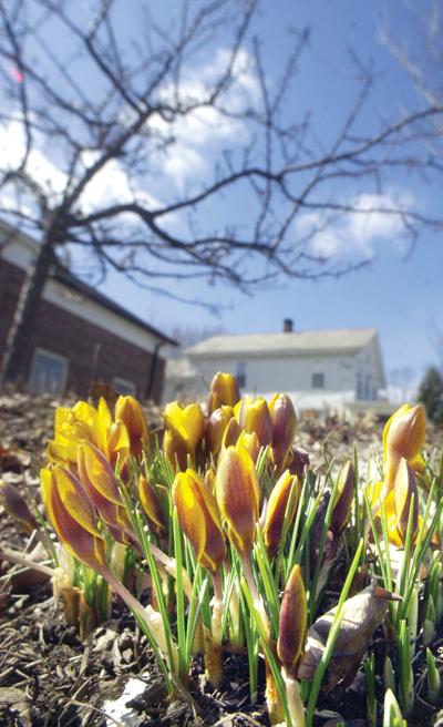 Kate Abbott: May Day returns with signs of warmth | Arts and Culture ...