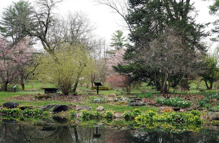 Berkshire Botanical Garden celebrates start of 88th season with a free ...