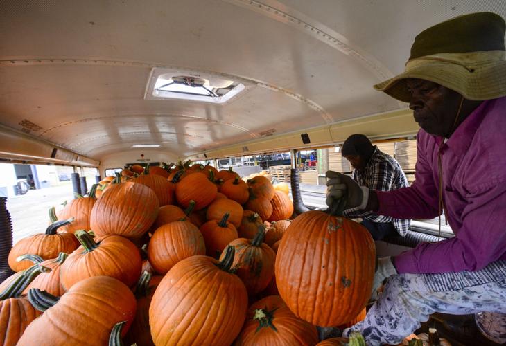 PHOTOS: Patterson Farm | | The Berkshire Eagle