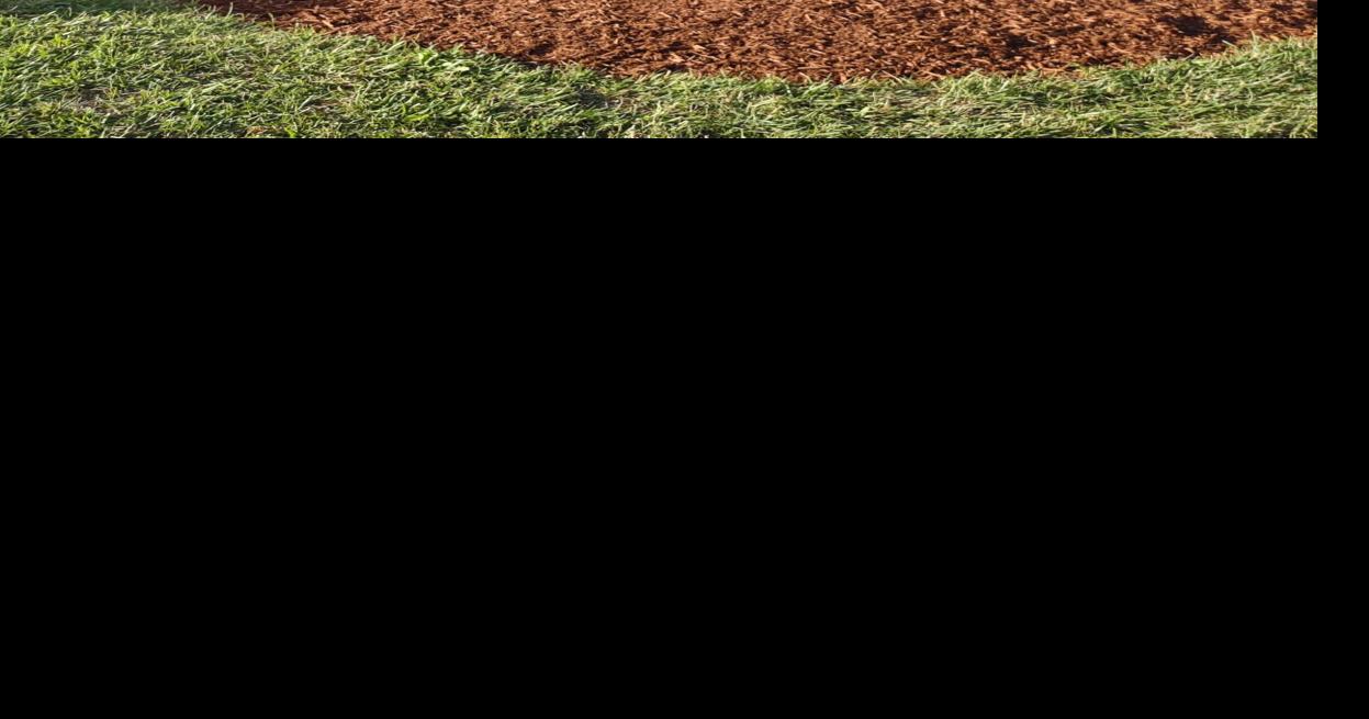 Behold the power ... of art that tempts you to say 'cheese' on rail ...