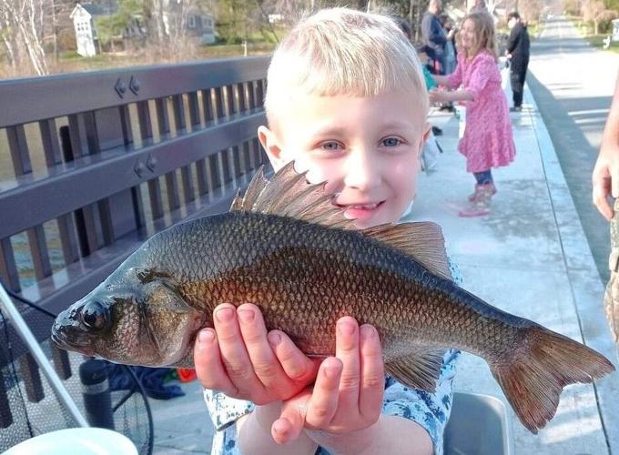 Gene Chague: 2022 Massachusetts Angler of the Year and gold pin award ...