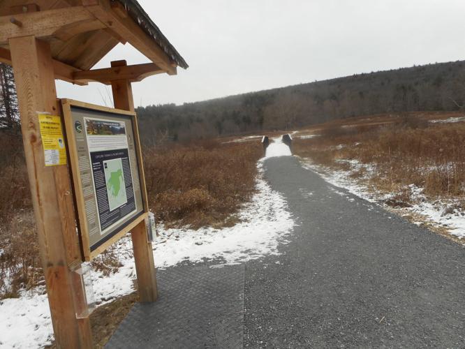 Lauren R. Stevens | Hikes and Walks: Taking a break from woods to ...