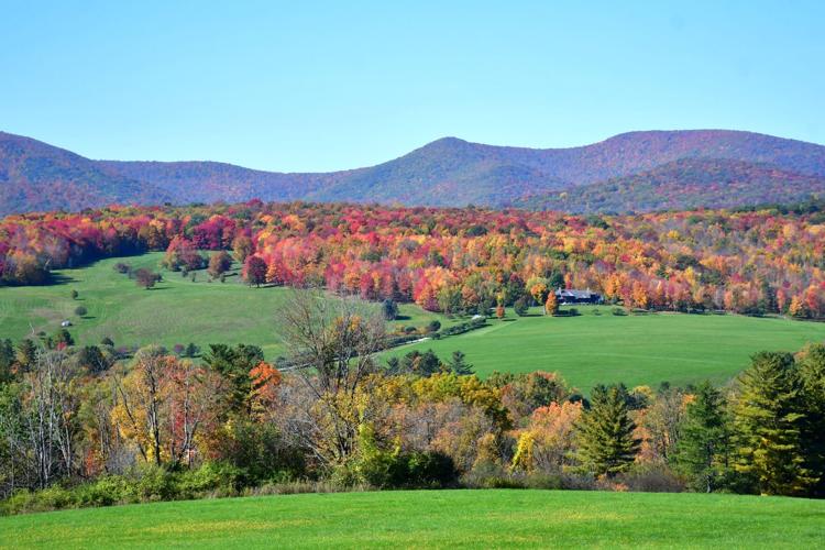 Photos: Fall foliage in Northern Berkshire County | Multimedia ...