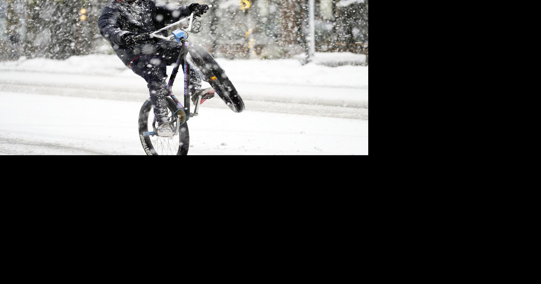 Heavy, wet snow downed trees and wires in Berkshire hill towns in first ...
