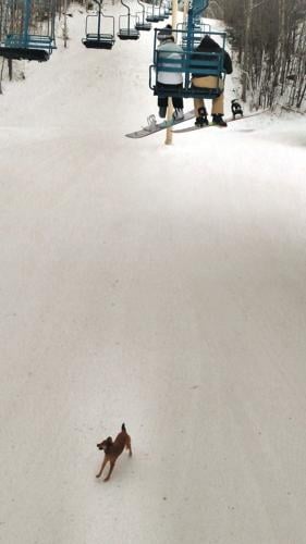 Mike Walsh | Powder Report: Bousquet opens to eager patrons | Sports ...