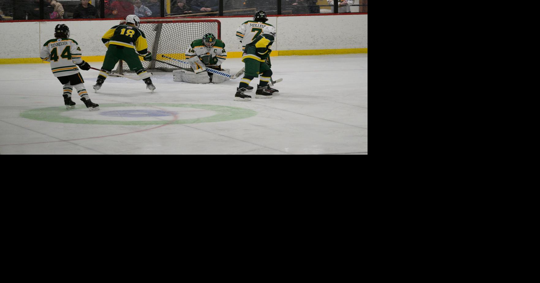 Antonio Scalise makes 36 saves in Taconic hockey's win over Amherst ...