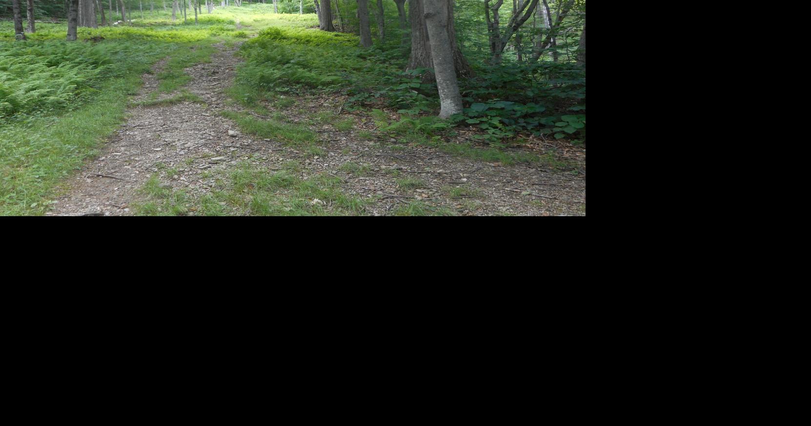 Lauren R. Stevens: The Bellows Pipe South Trail is fit for a hike or ...