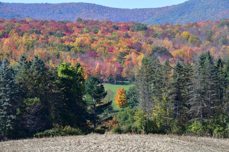 Photos: Fall foliage in Northern Berkshire County | Multimedia ...