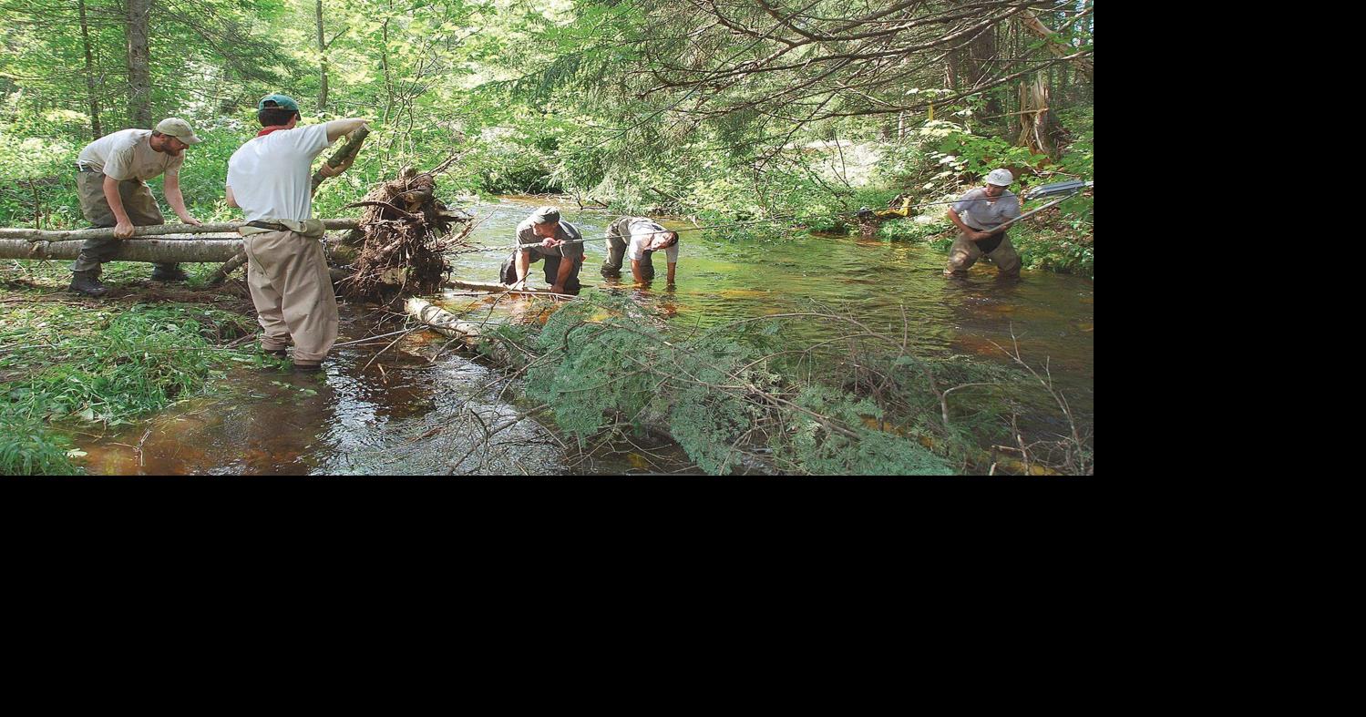 State celebrates trout stream improvements | | berkshireeagle.com