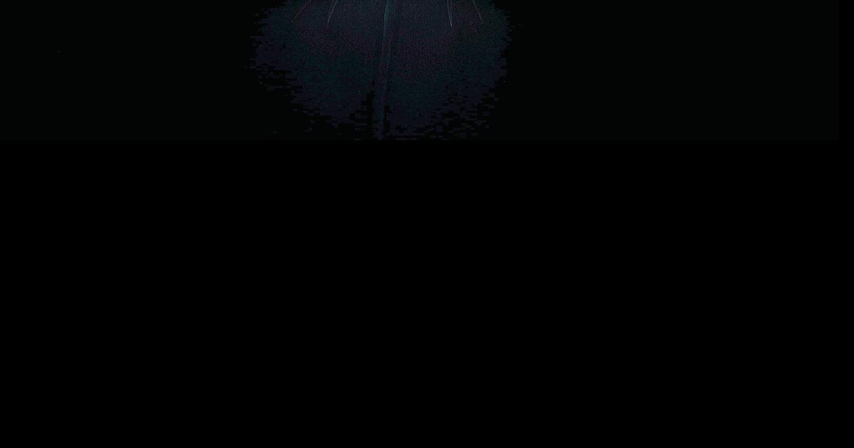 Tanglewood tales: Elizabeth Rowe, BSO principal flute | Arts and ...