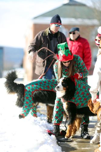Photos: Annual Reindog Parade in Williamstown | Multimedia | The ...