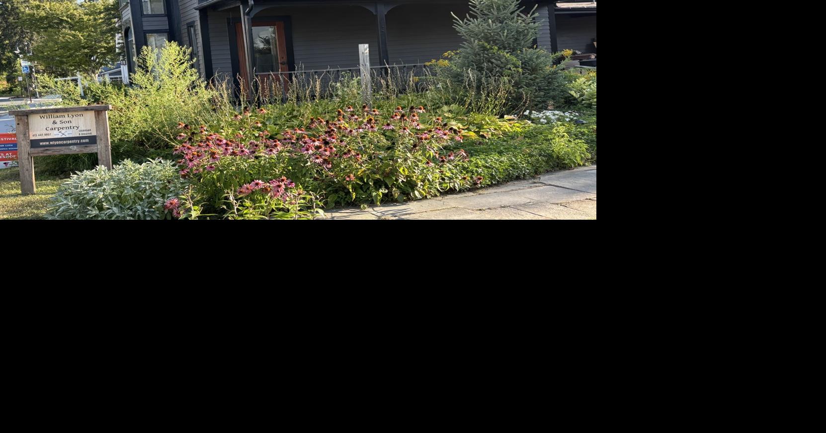 Bea’s House to bring new life — and new American cuisine — to former ...