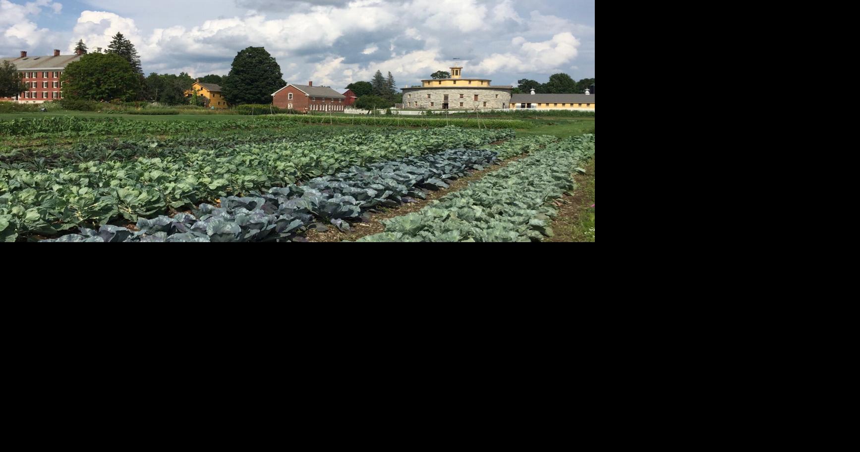 Chester Theater Company bringing live theater to Hancock Shaker Village ...