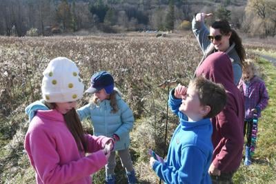 Gillian Jones-Heck: Considering an attitude of gratitude year round ...