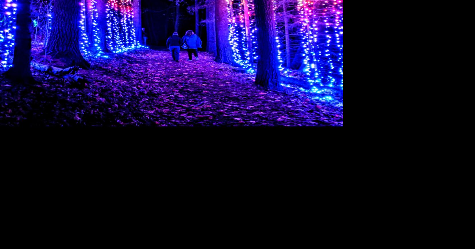 Tour a holiday light show USA Today ranked one of the best in the U.S ...