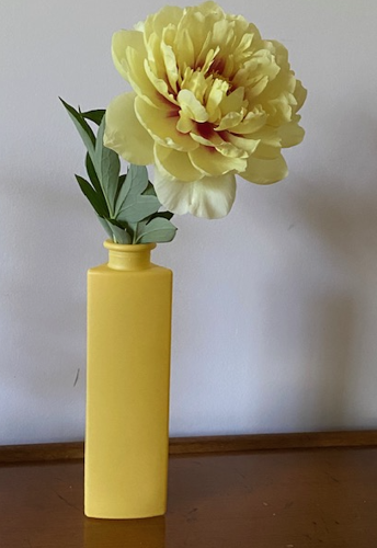 From ancient myths to modern gardens, peonies remain June’s star flower ...