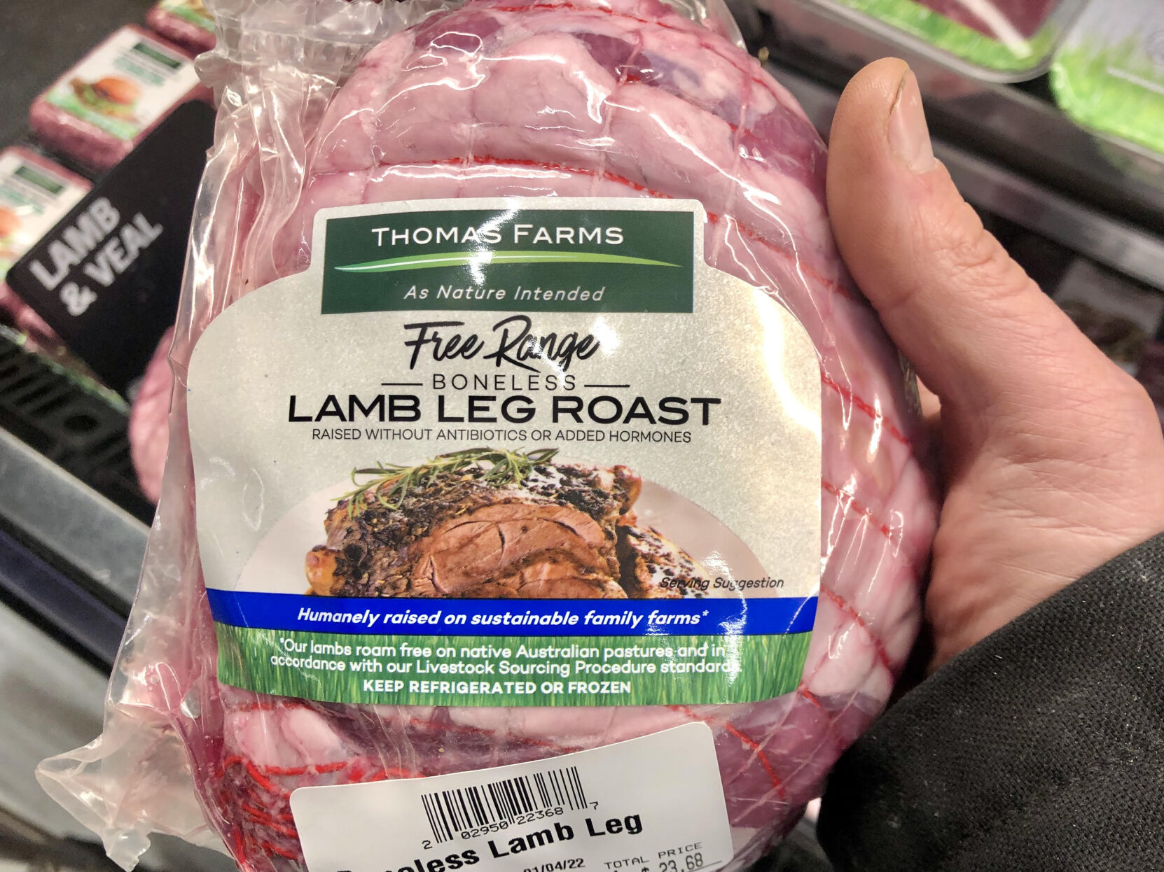 As Afghan evacuees began settling into the Berkshires, the quest for ...