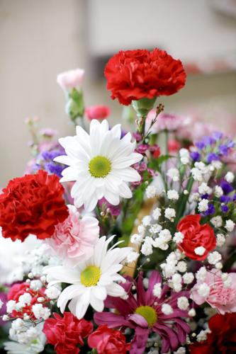 Photos: Prepping for Valentine’s Day at Viale Florist | Multimedia ...