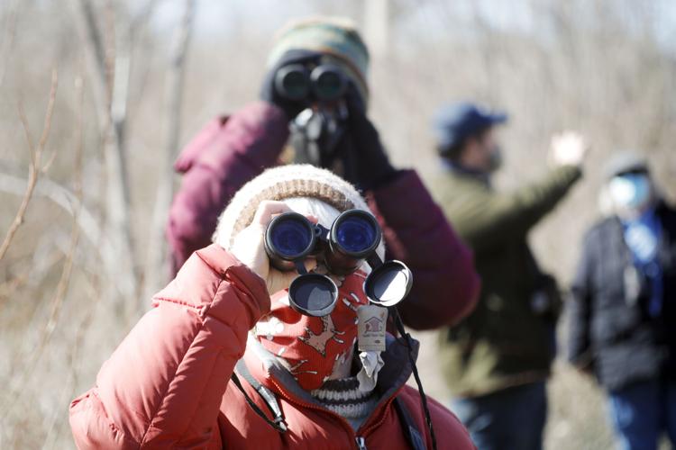 Photos: First Day of Spring Bird Watching | Multimedia | berkshireeagle.com