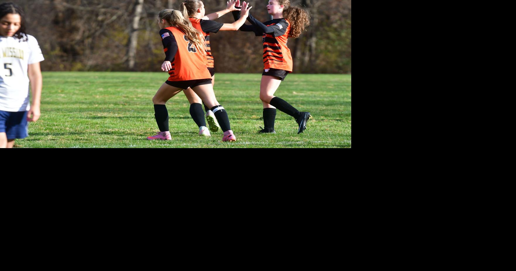 Lee girls soccer rises to the challenge in state tournament opener ...