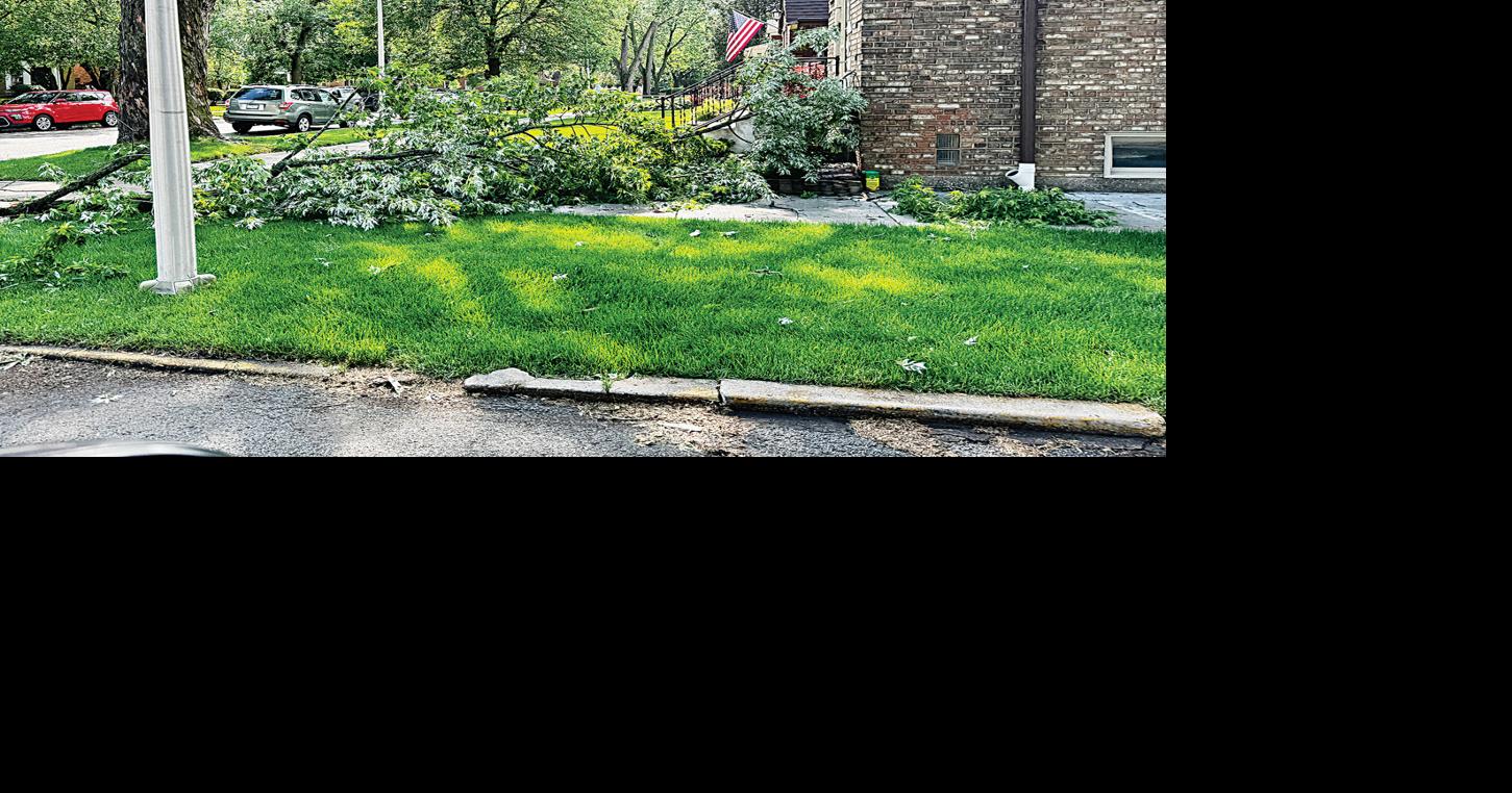 Microburst downs trees | Community News | beverlyreview.net